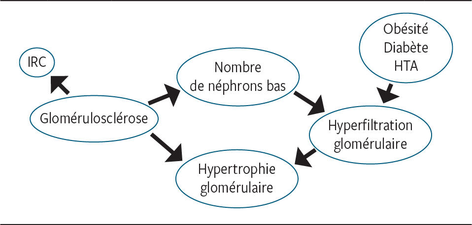 Rein unique : un facteur de risque pour une hypertension artérielle