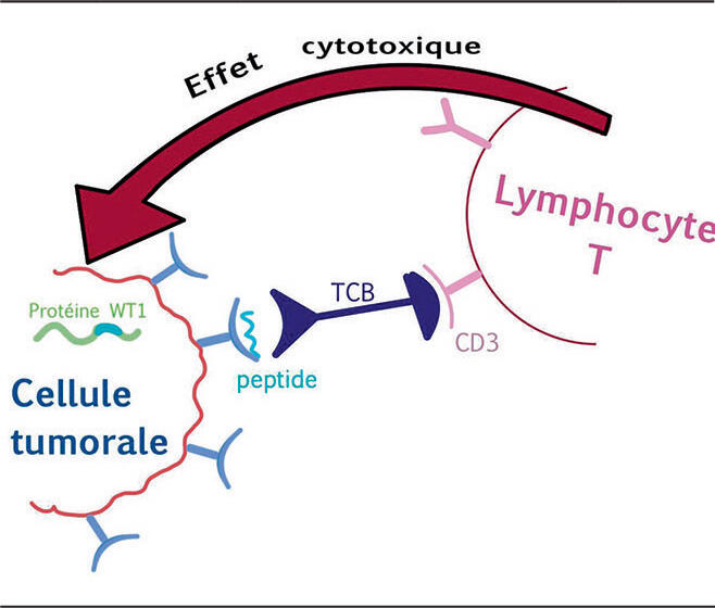 L’art de viser juste