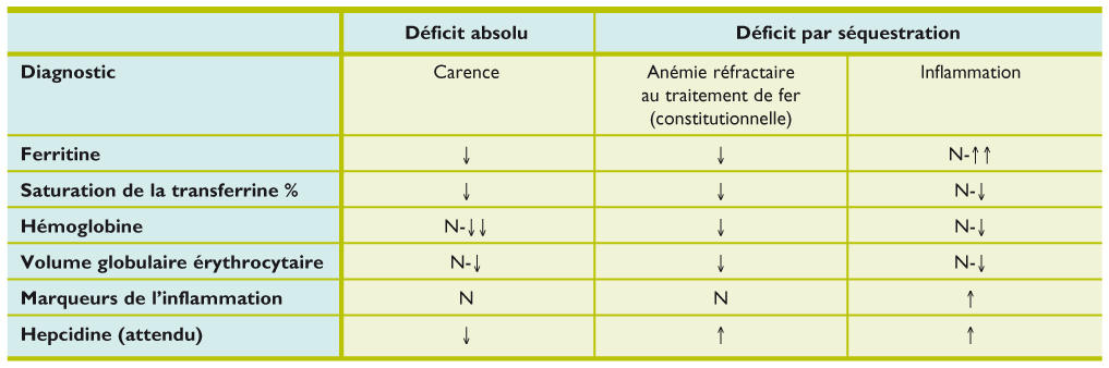 Marqueurs diagnostiques de la carence en fer : lequel choisir