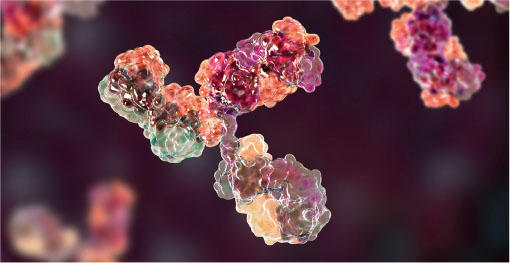 Traitement du covid-19 par anticorps monoclonaux
