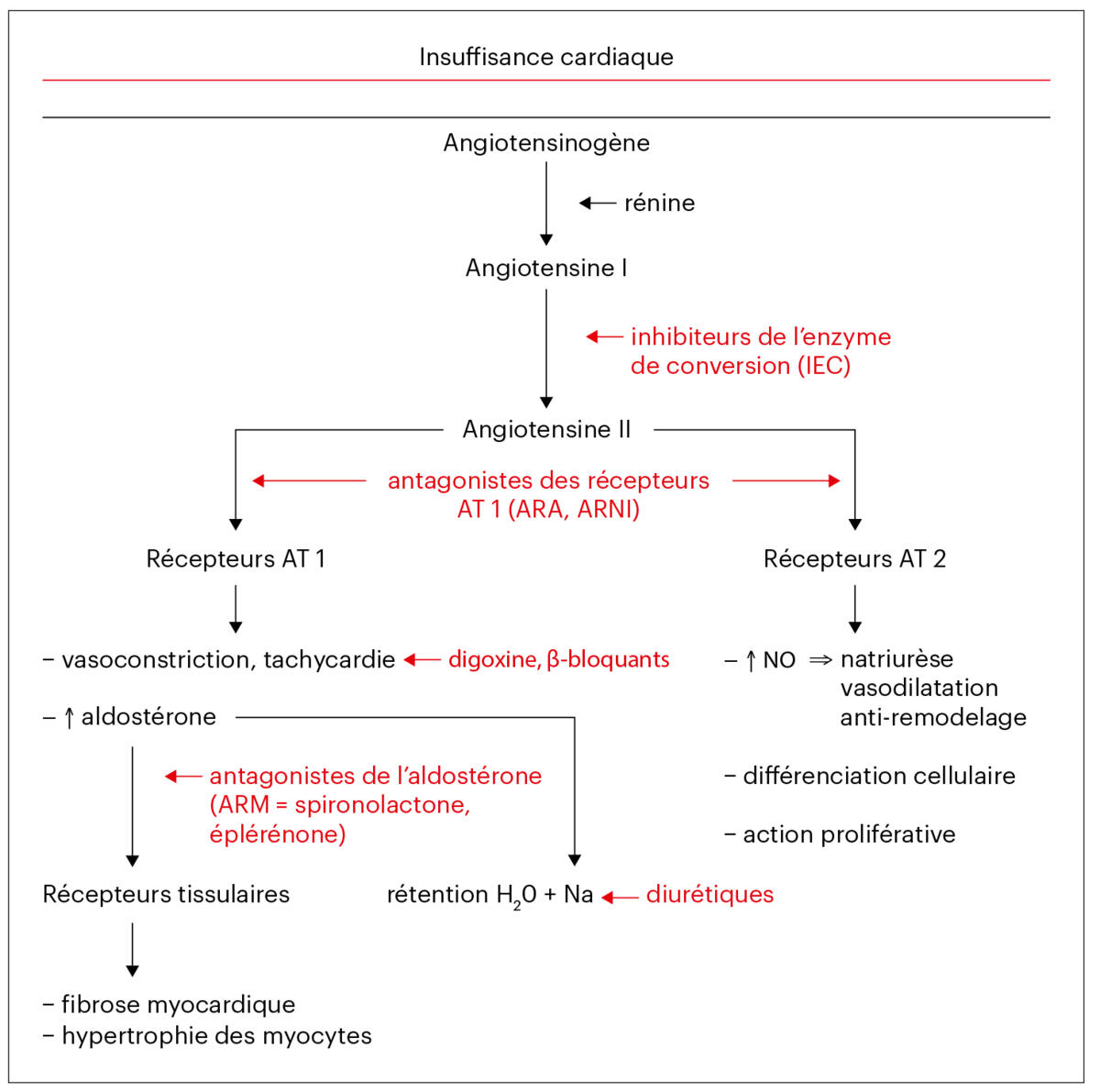 Physiopathologie | CARDIOGERIATRIE CLINIQUE A L'USAGE DU PRATICIEN 2E ...