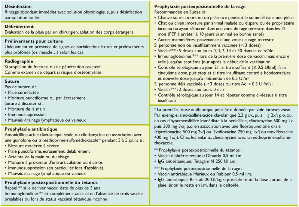 Antibiotiques Pour Les Morsures Humaines