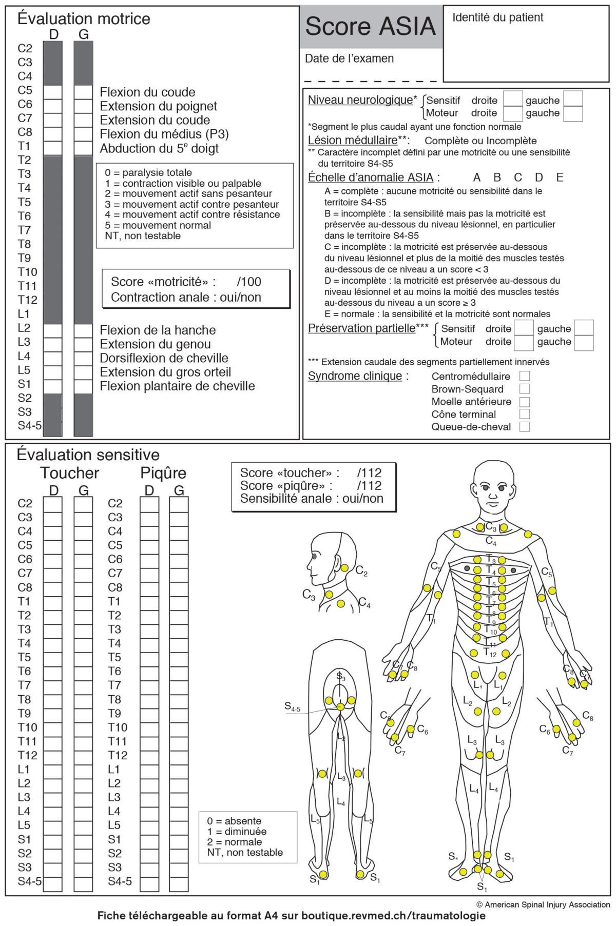 Score ASIA | TRAUMATOLOGIE DE L'APPAREIL MOTEUR - 2e ED. (Henry Duruz ...