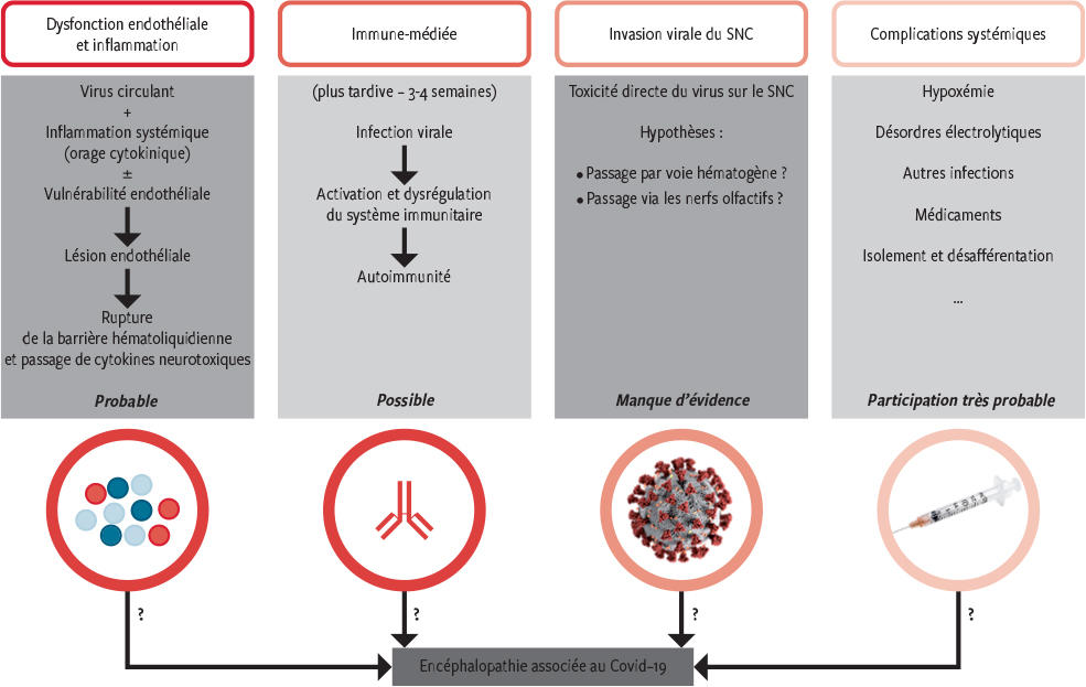 Atteinte immune médiée