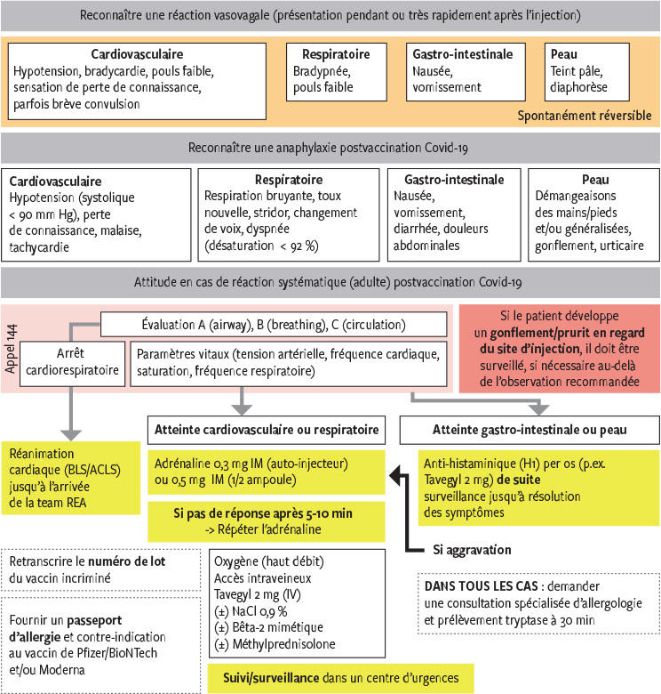 ACLS : Advanced Cardiac Life Support ; BLS : Basic Life Support ; REA ...