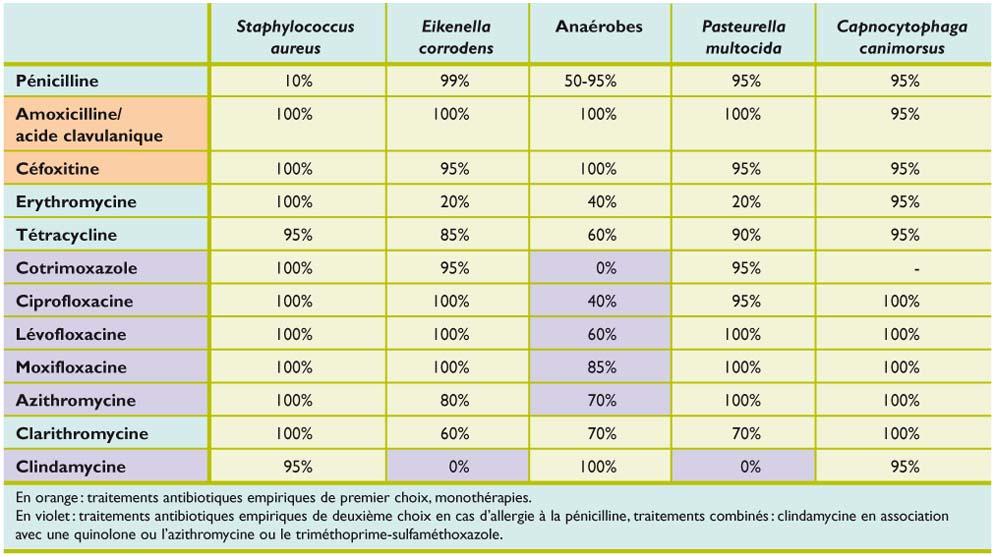 Antibiotiques Pour Les Morsures Humaines