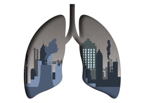 Comment la pollution affecte-t-elle la santé? | Revue Medicale Suisse