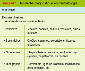 lesion elementaire en dermatologie pdf