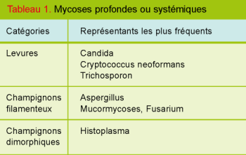 les 4 phases de l 'infection par le vih - Corsica Sida