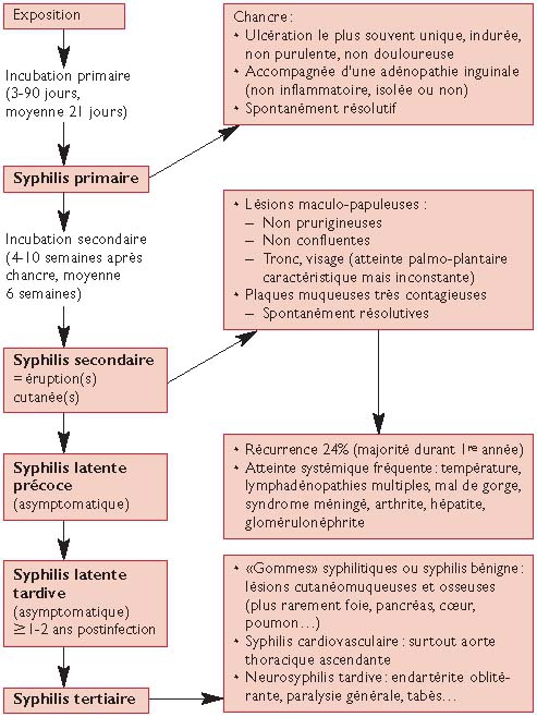 Syphilis en 2008 : controverses et attitudes pratiques - Revue Médicale ...