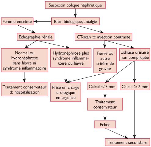 Prise en charge des coliques néphrétiques en urgence - Revue Médicale ...