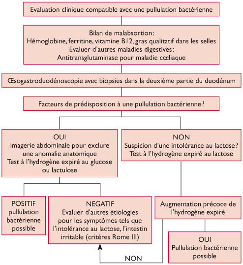 Pullulation bactérienne de l’intestin grêle - Revue Médicale Suisse