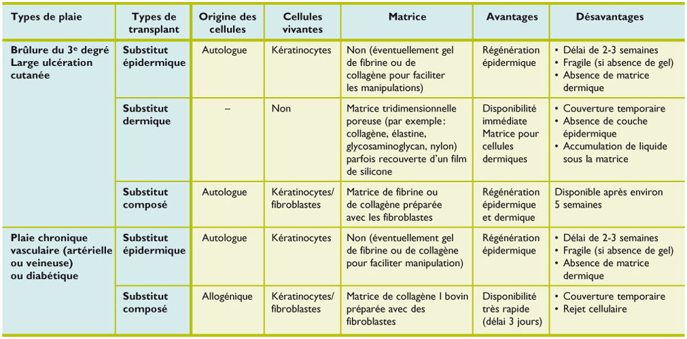 Les Différents Types De Pansements Et Leur Utilisation Guide Essentiel pour une Guérison ...