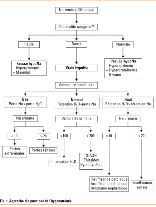 Hyponatrémie : approche diagnostique et thérapeutique en ambulatoire ...