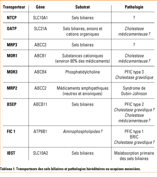 acide biliaire definition