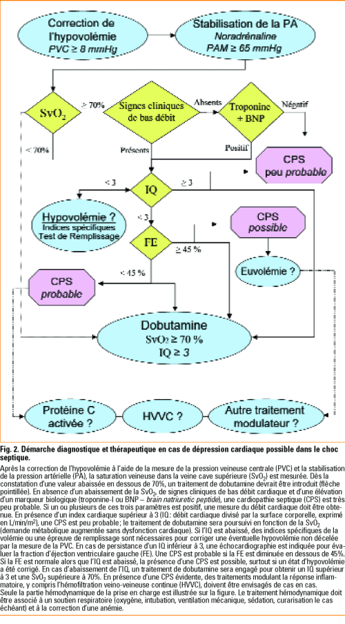 quand roméo a le coeur qui s'emballe correction