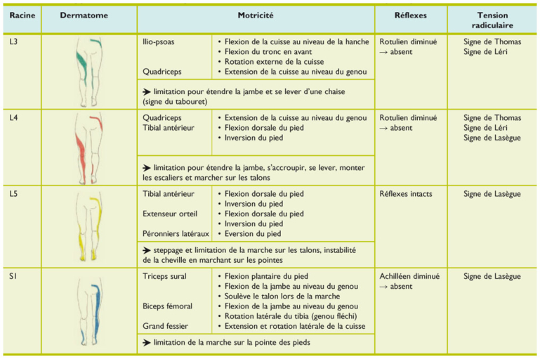 Quand référer aux urgences un patient présentant une lombalgie ...