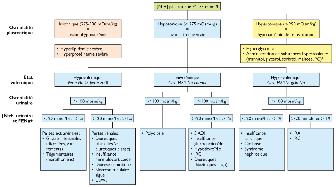 Diagnostic différentiel et prise en charge de l’hyponatrémie - Revue ...