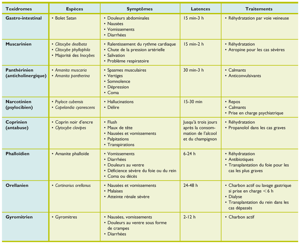 Randonnée : conseils utiles aux patients (2e partie) - Revue Médicale ...