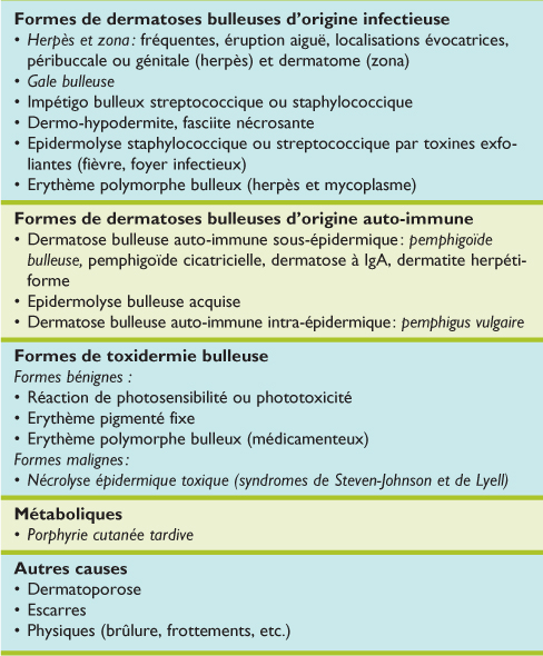 Pemphigoïde bulleuse : une dermatose du grand âge à mieux connaître ...