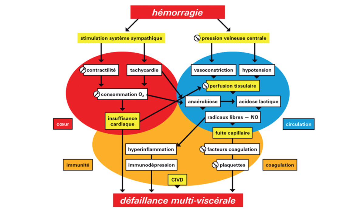 Choc hémorragique - Revue Médicale Suisse