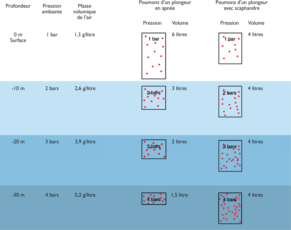 palier de décompression plongée