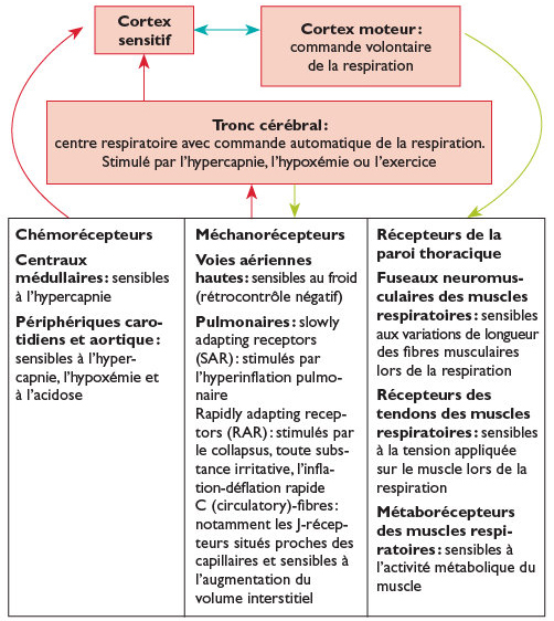 Informations générales - Inter