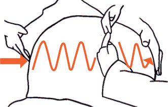 Examen de l’abdomen : et si nous refaisions nos gammes ? - Revue ...