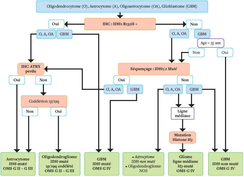 fac de biologie classement
